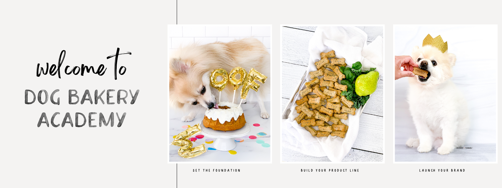 How to start a dog bakery business with Dog Bakery Academy! – Dog ...